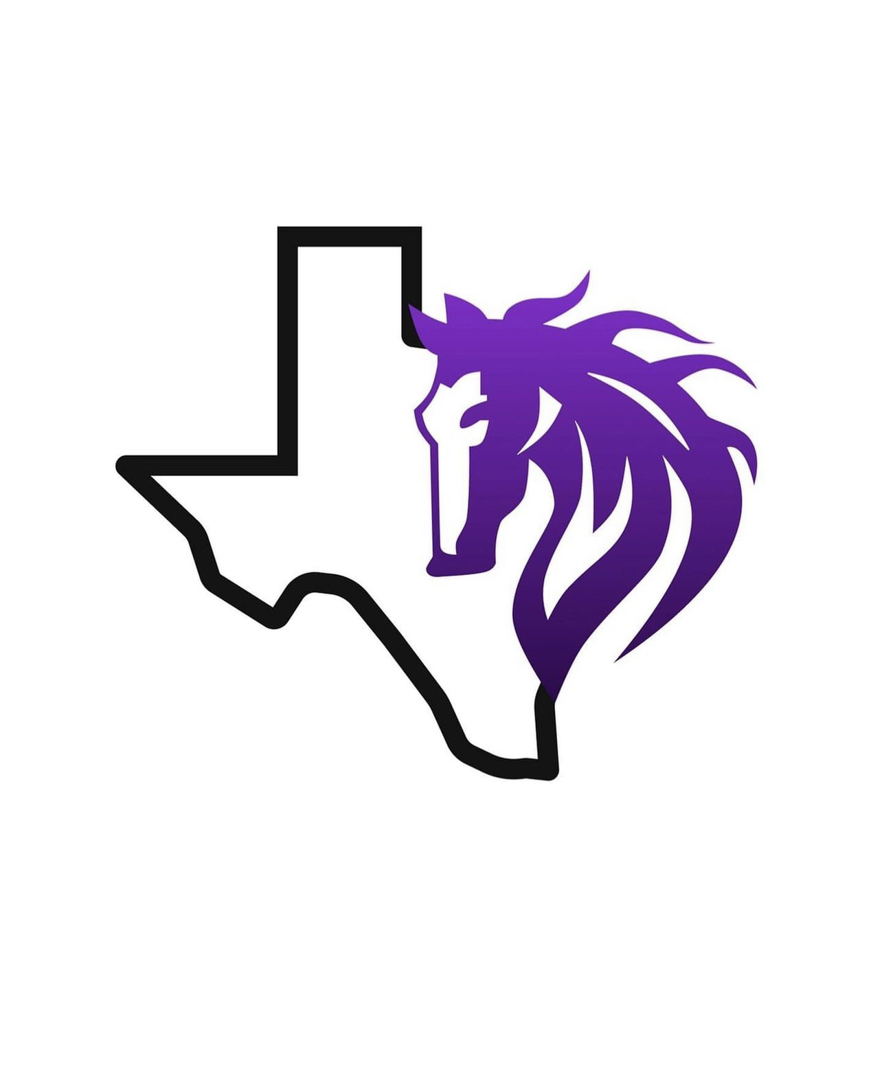 National Championship Sports | Fastpitch | Texas Stallions | 14U C