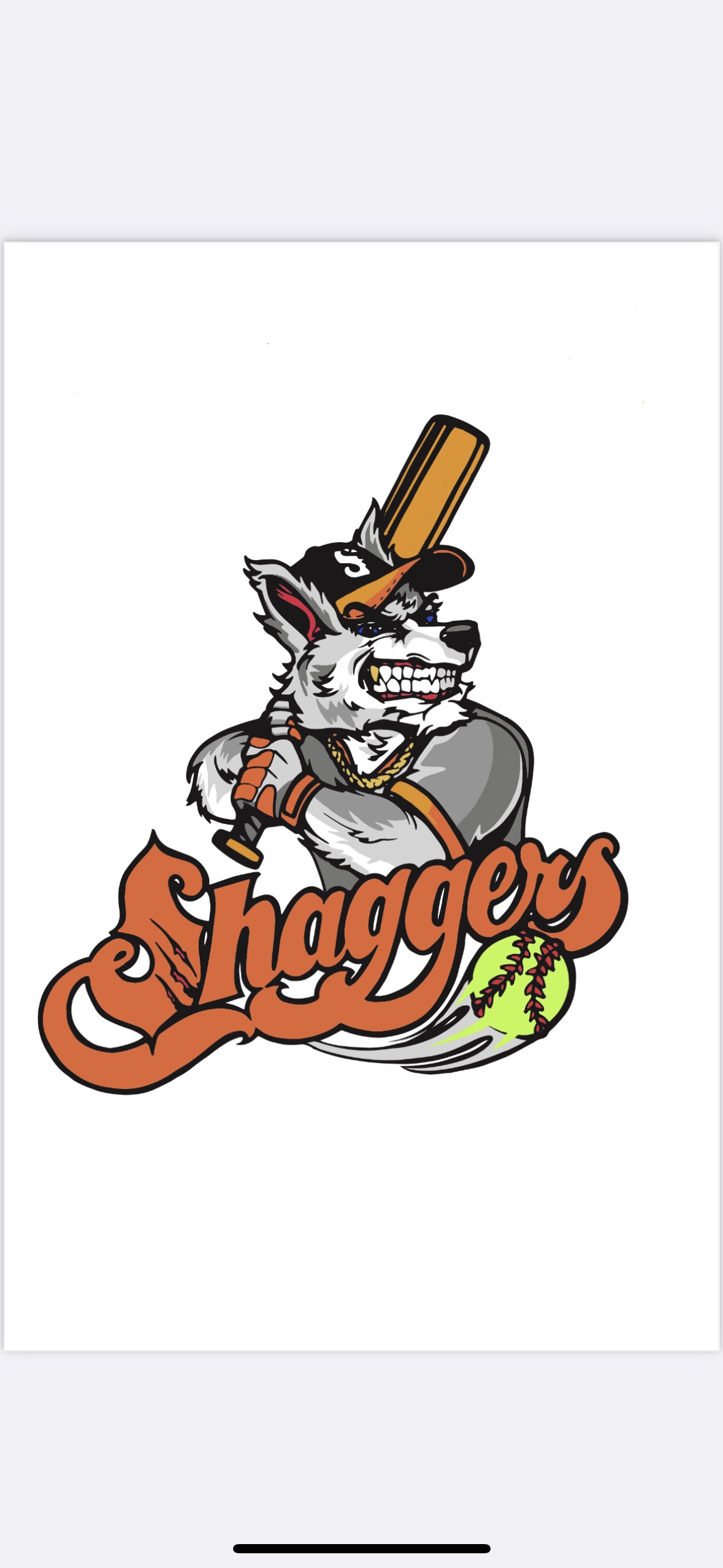 National Championship Sports | Slowpitch | Shaggers | MENS E