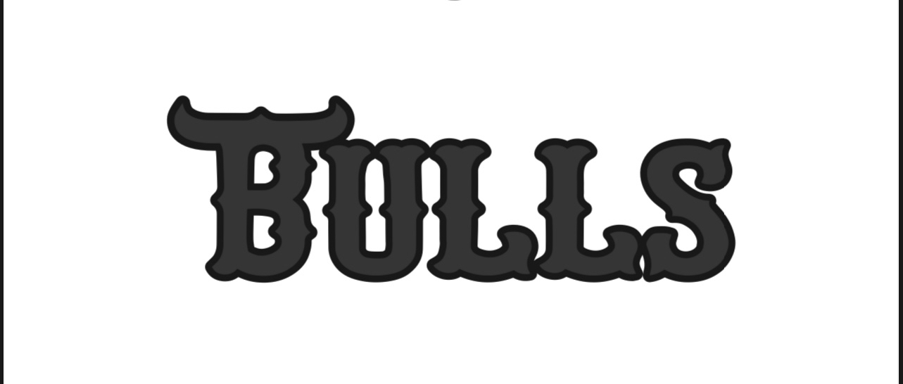 National Championship Sports | Baseball | Bulls Baseball | 13U D3