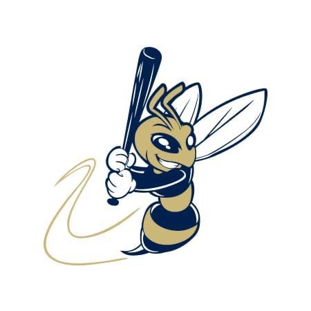 National Championship Sports | Baseball | 9u Sting Baseball | 9U D3