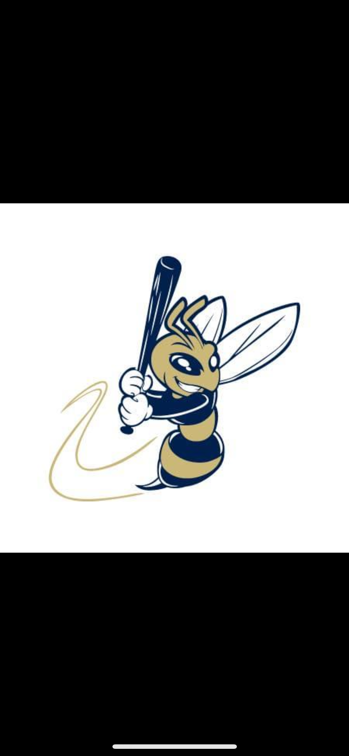 National Championship Sports | Baseball | 11u Sting Baseball | 11U D2