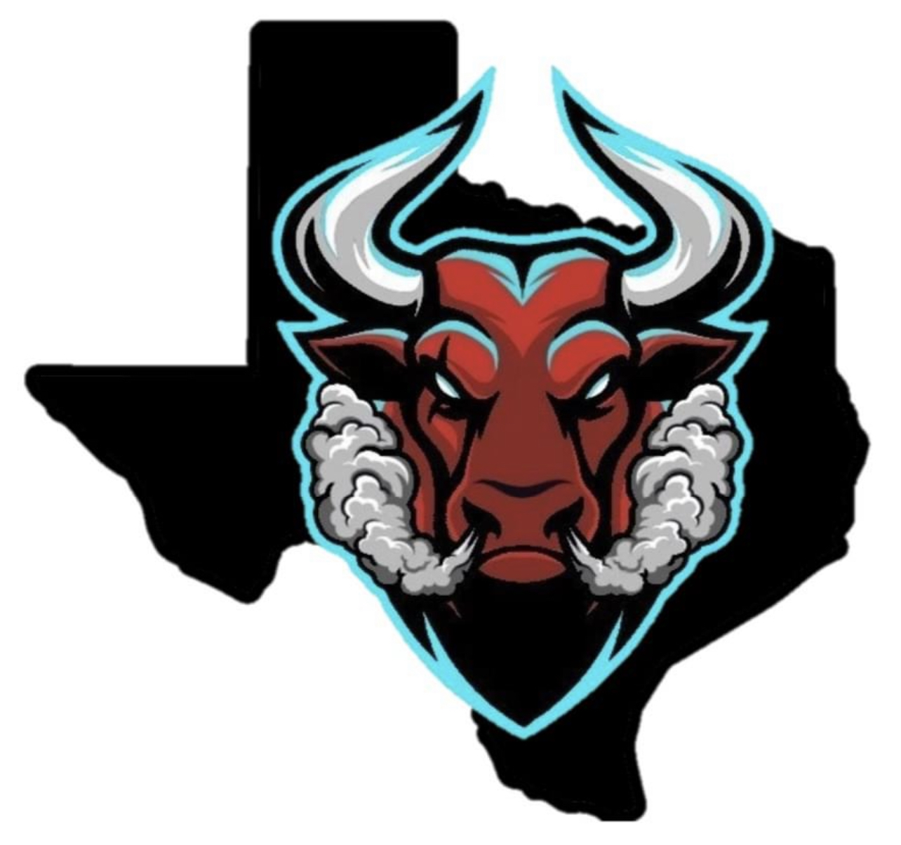 National Championship Sports | Baseball | Texas Brahmas | 9U D3