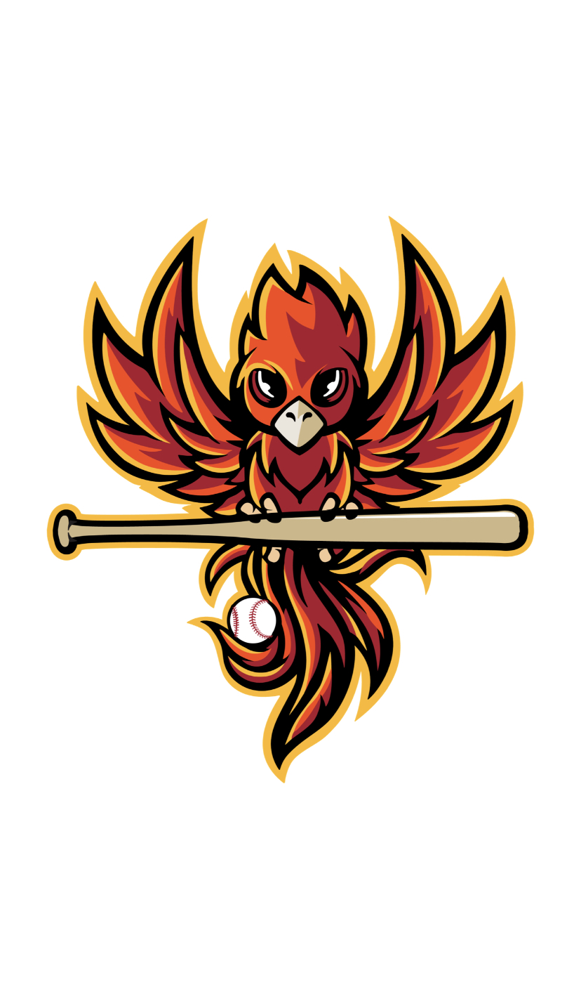 National Championship Sports | Baseball | Firebirds | 11U D3