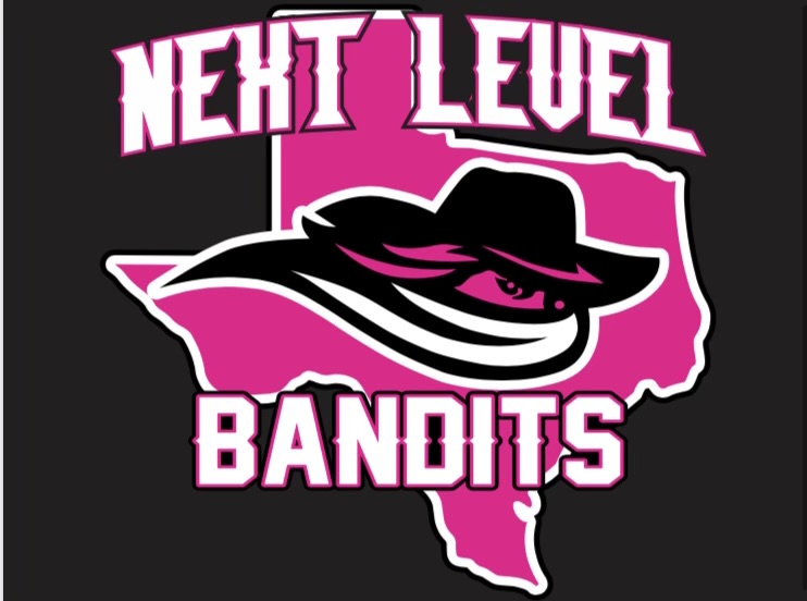 National Championship Sports | Fastpitch | Next level bandits | 14U C