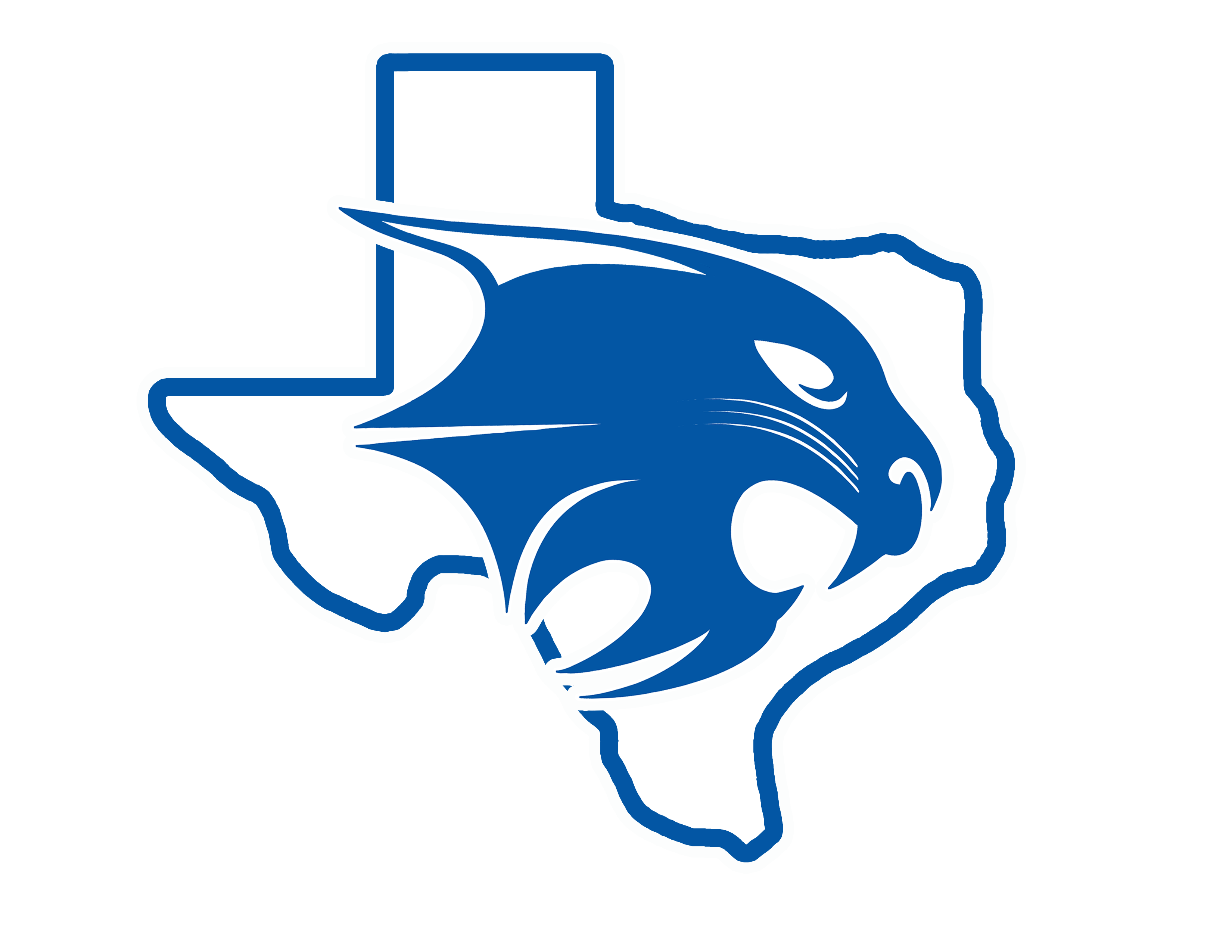 National Championship Sports | Baseball | Bobcats | 9U D3