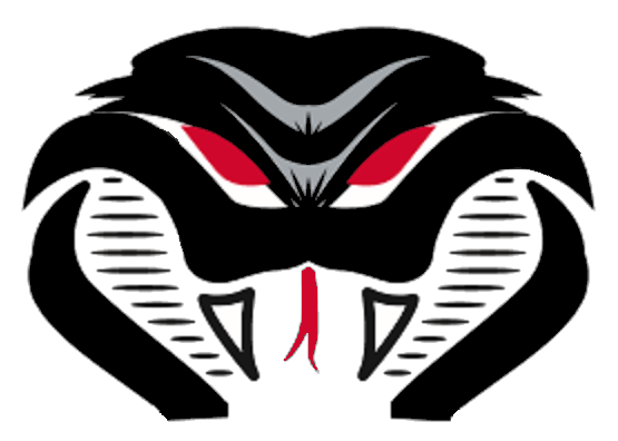 National Championship Sports | Baseball | Cobras - Mudd | 12U D3