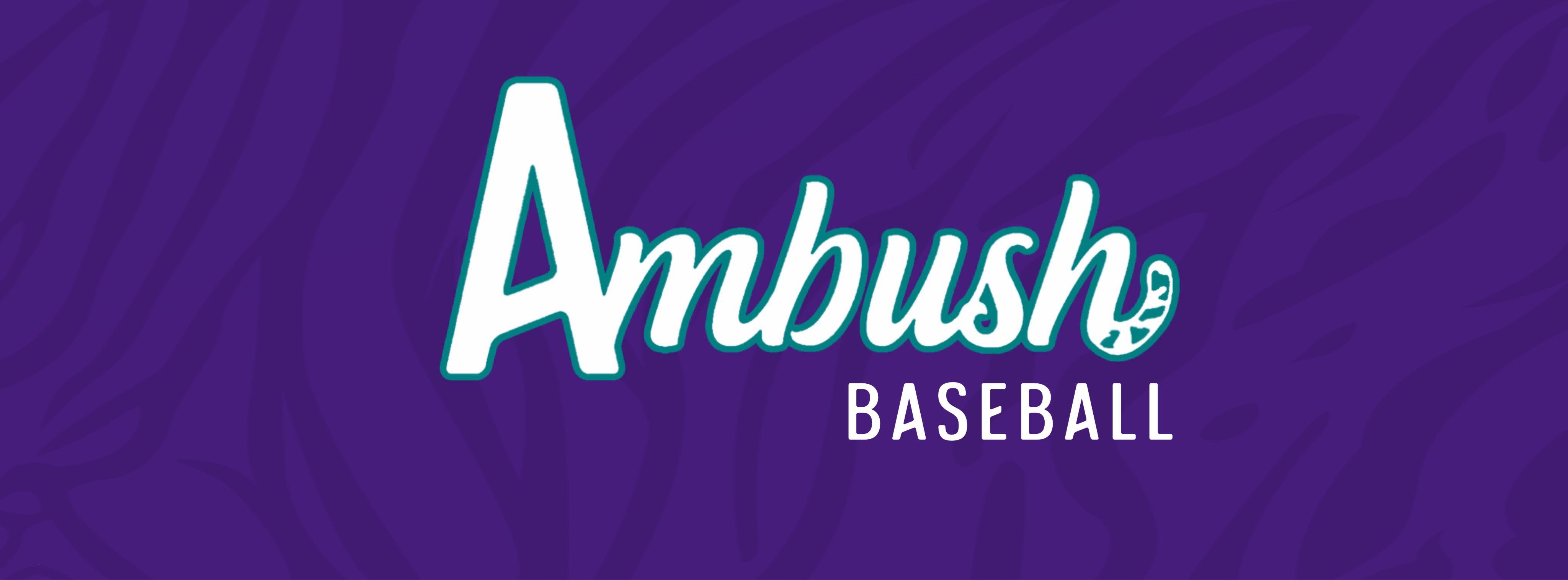 National Championship Sports | Baseball | Ambush Baseball | 10U D3