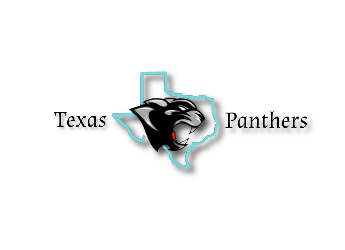 National Championship Sports | Fastpitch | Texas Panthers | 8U C