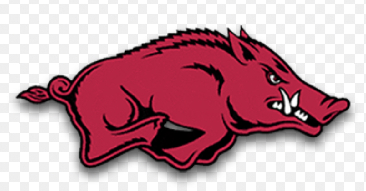 National Championship Sports | Baseball | STX 18u Razorbacks | 18U D1