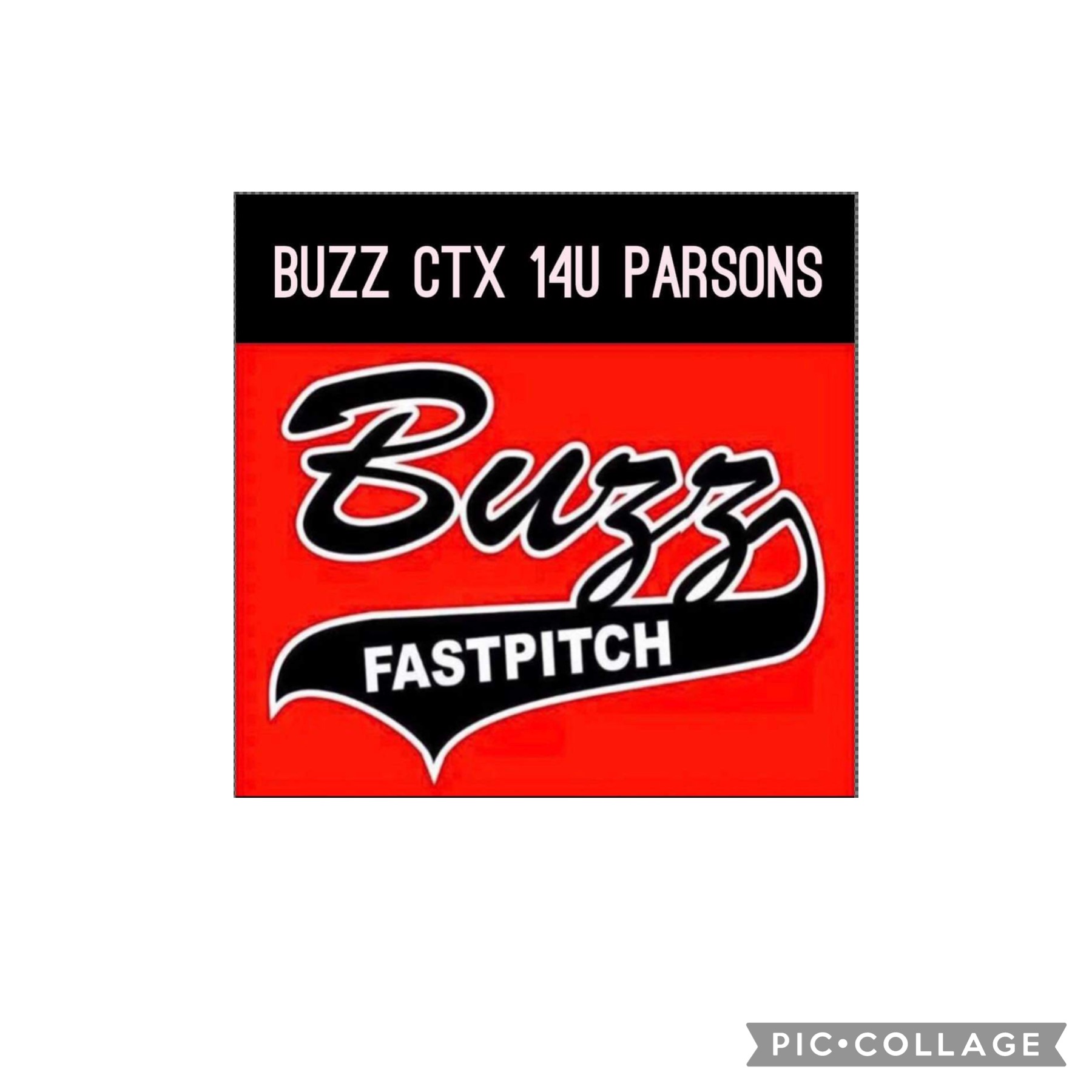 National Championship Sports | Fastpitch | Buzz CTX 14U | 14U B