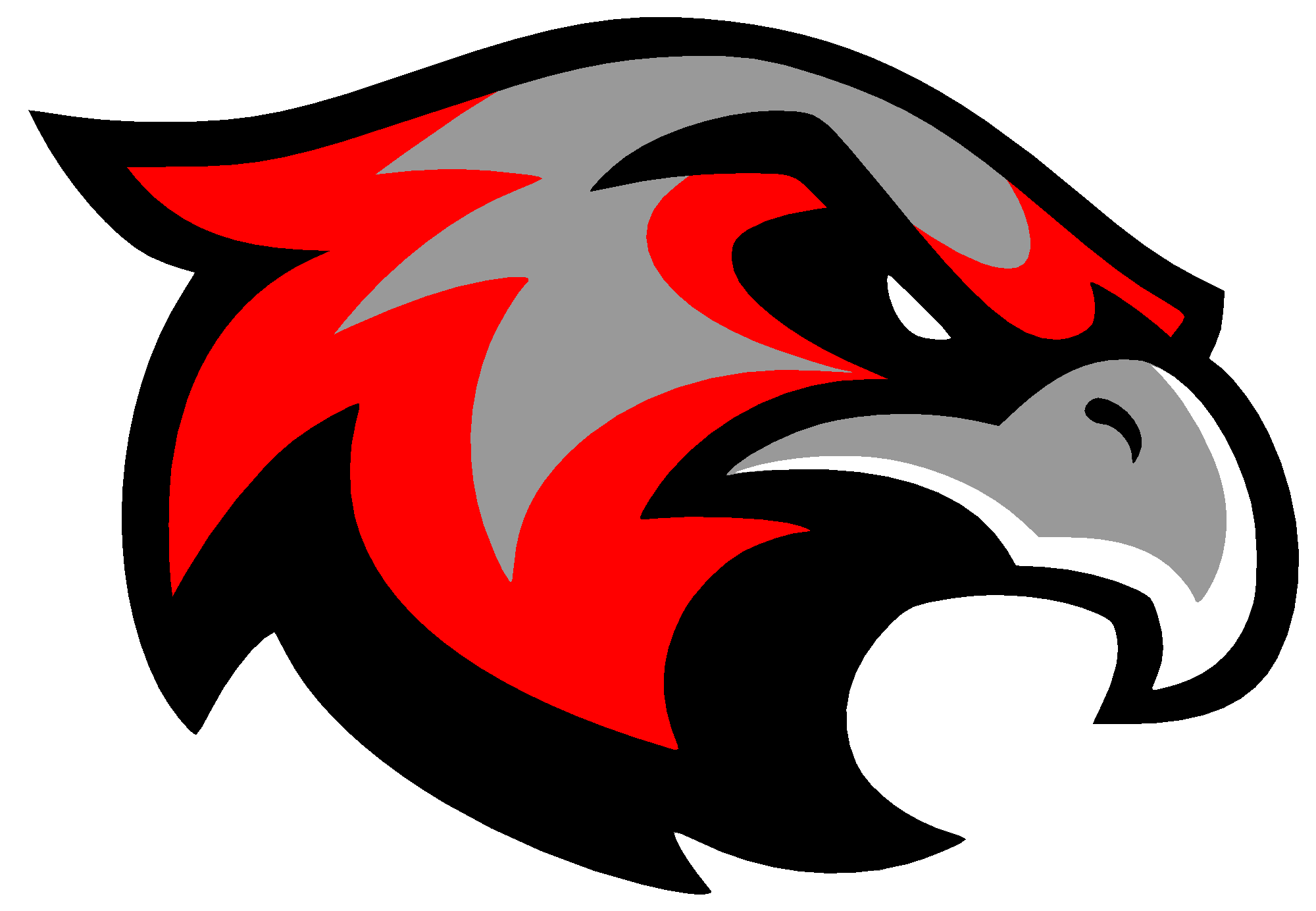 National Championship Sports | Baseball | North Texas Hawks | 11U D2