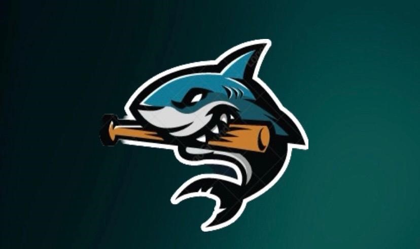 National Championship Sports | Baseball | Texas SandSharks 9U | 9U D2