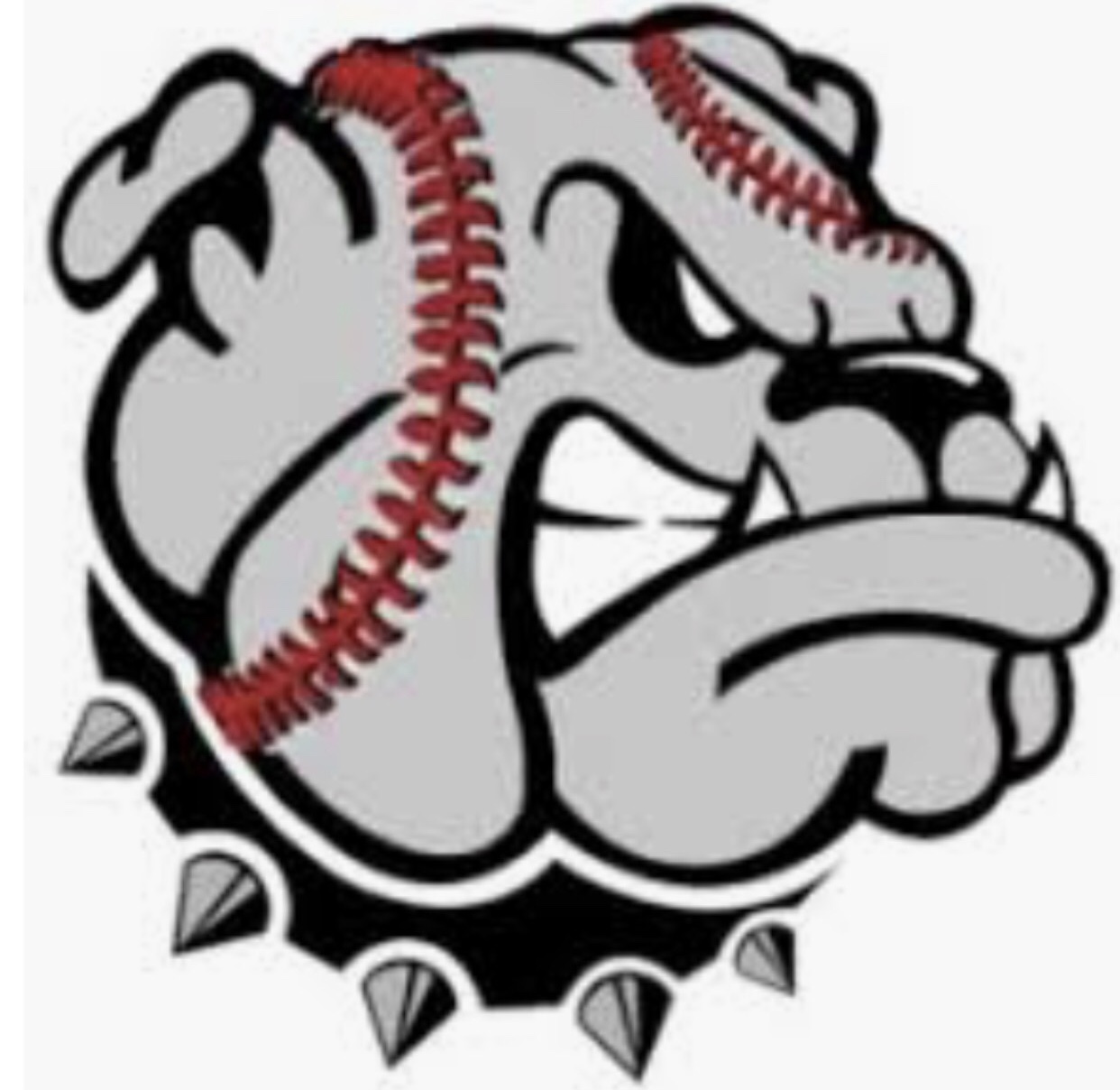 National Championship Sports | Baseball | Dirt Dawgs | 12U D3