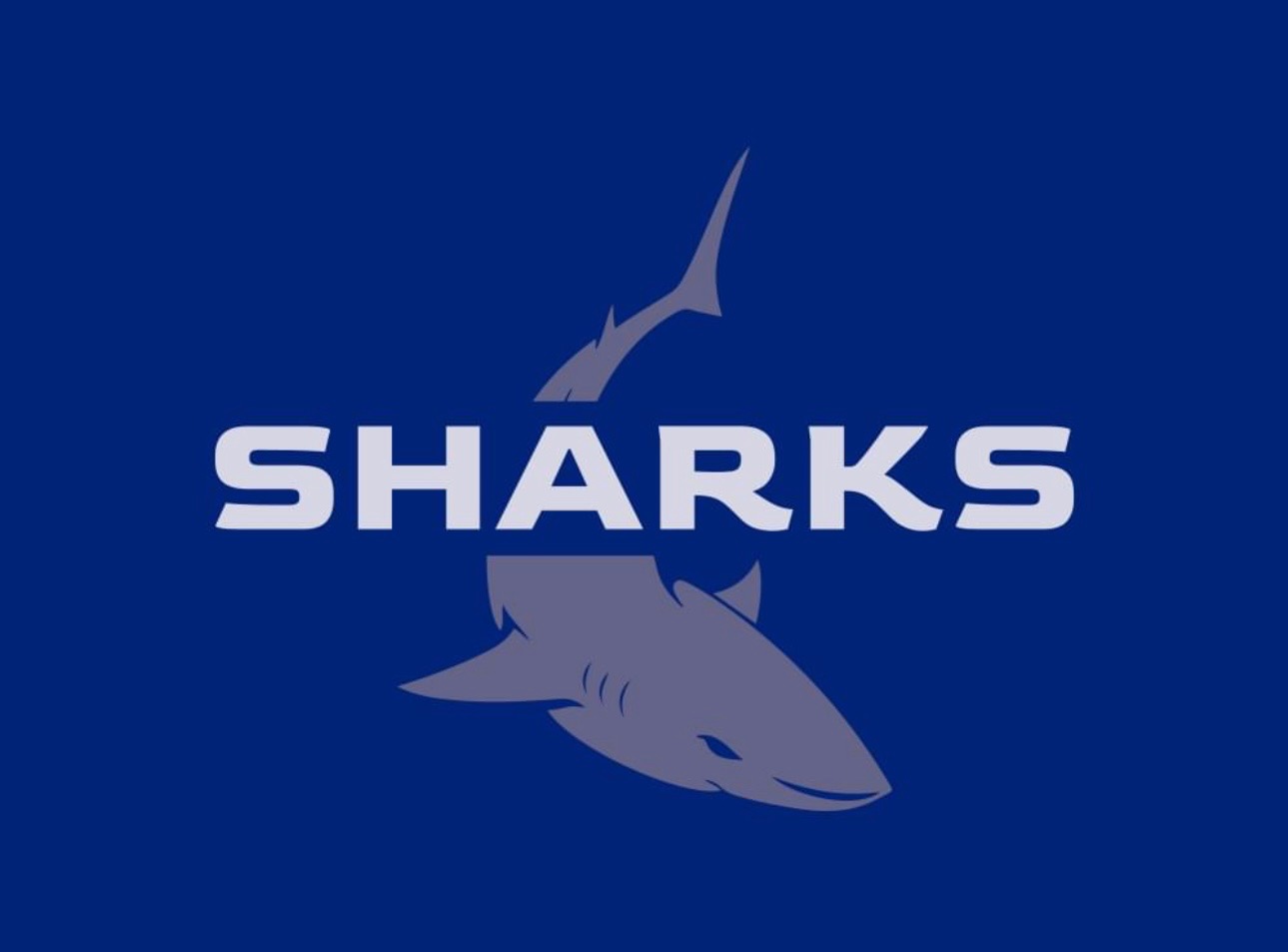 National Championship Sports | Baseball | Sharks | 11U D3