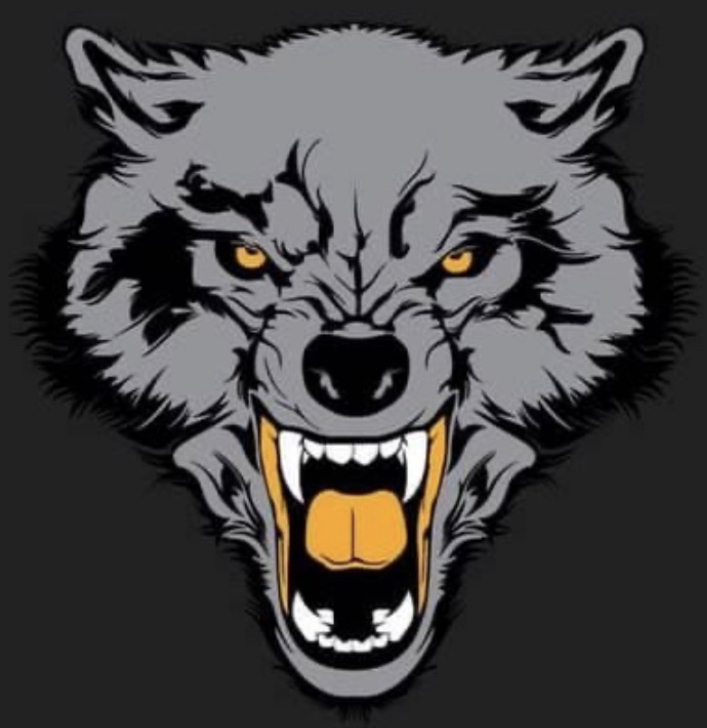 National Championship Sports | Baseball | Wolfpack | 9U D3