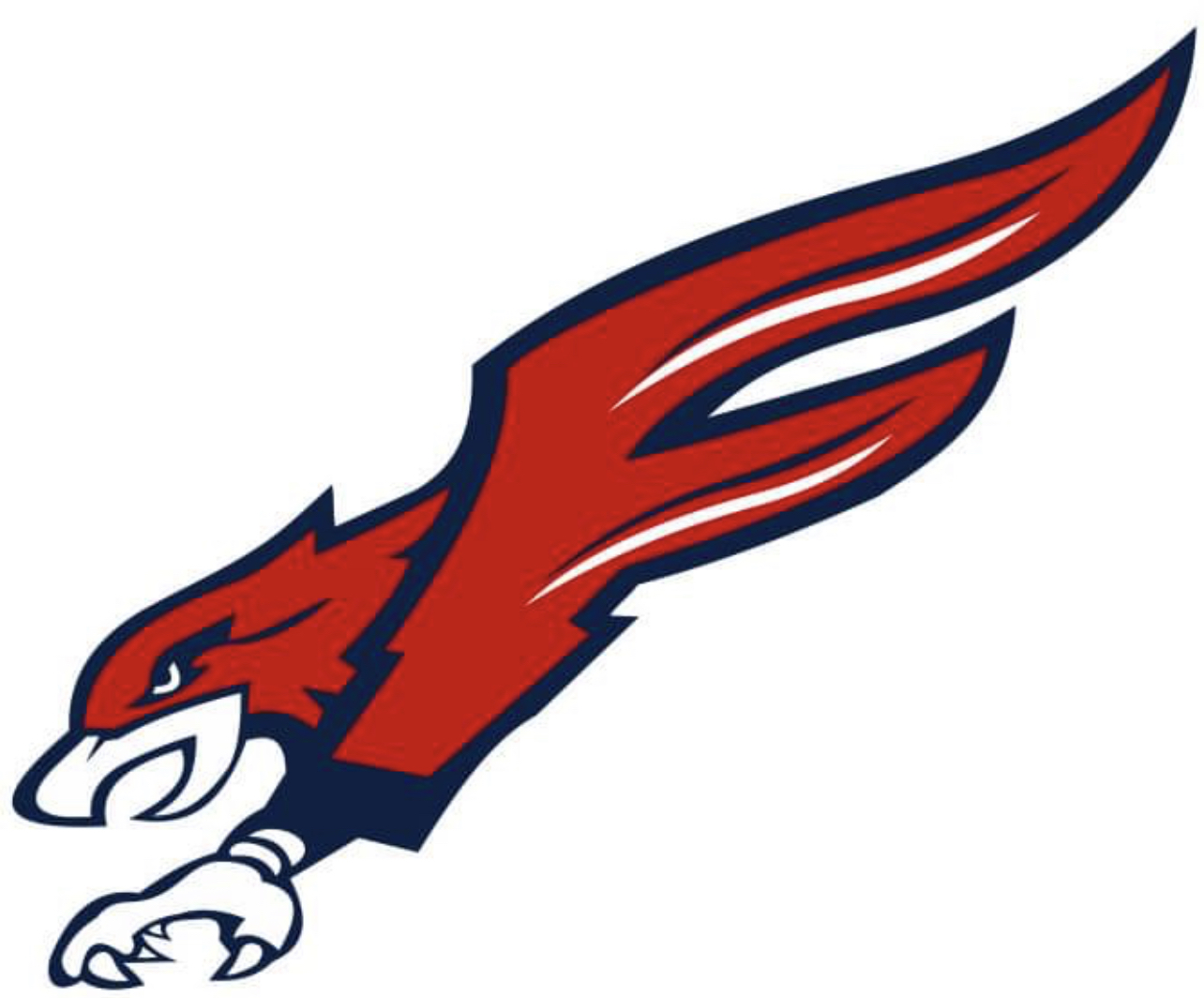 National Championship Sports | Baseball | Frost Falcons-Roberts | 11U D3