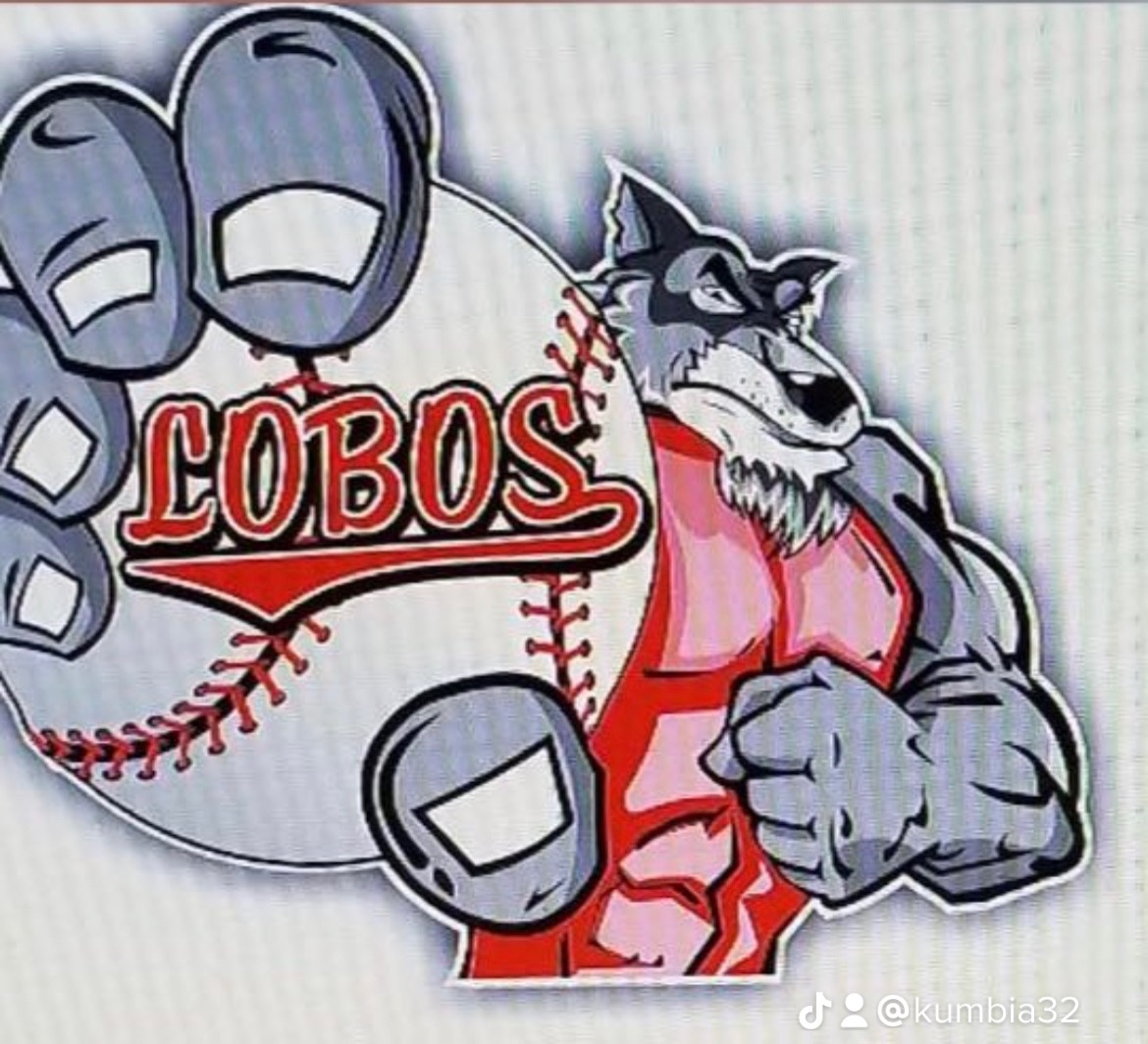 National Championship Sports | Slowpitch | LOBOS | MENS E