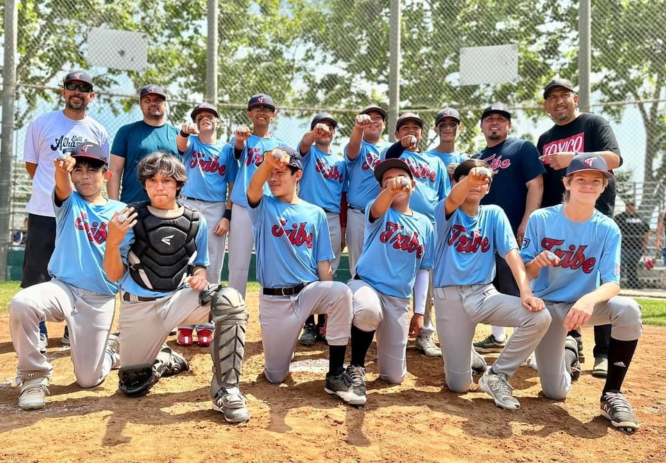National Championship Sports | Baseball | Alhambra Tribe | 14U D3