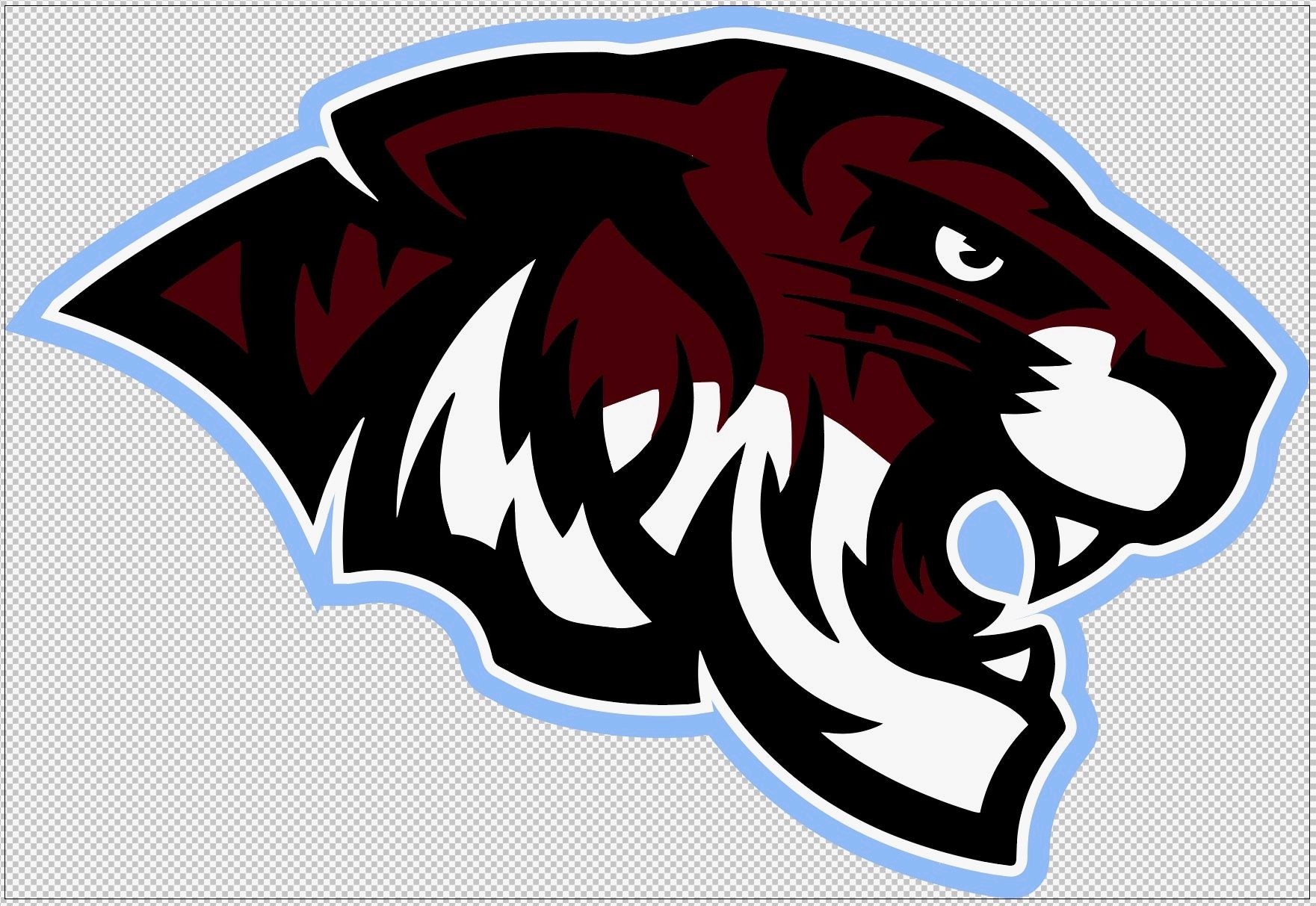 National Championship Sports | Baseball | Tigers | 14U D2