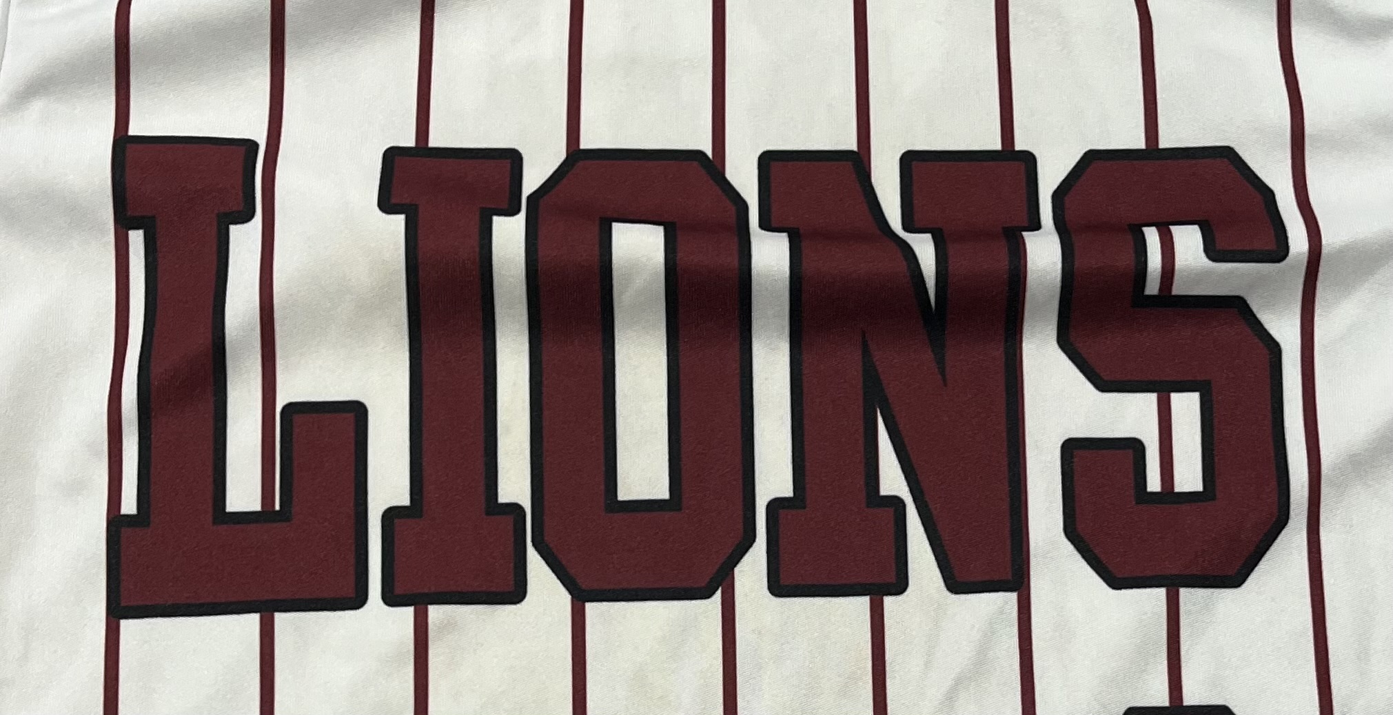 National Championship Sports | Baseball | Lions | 8U D3 CP