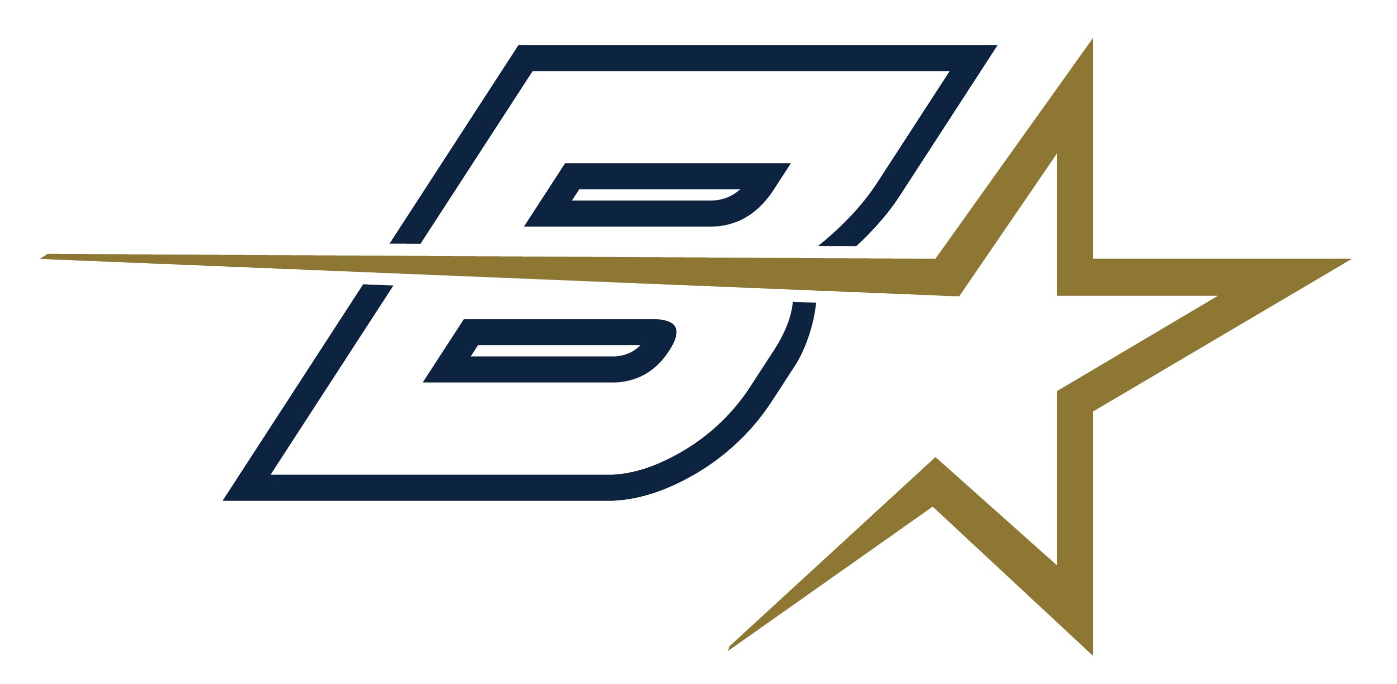 National Championship Sports | Baseball | Baystars 10U | 10U D2