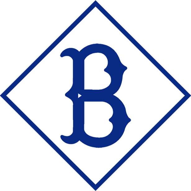National Championship Sports | Baseball | Blue Raiders | 11U D2