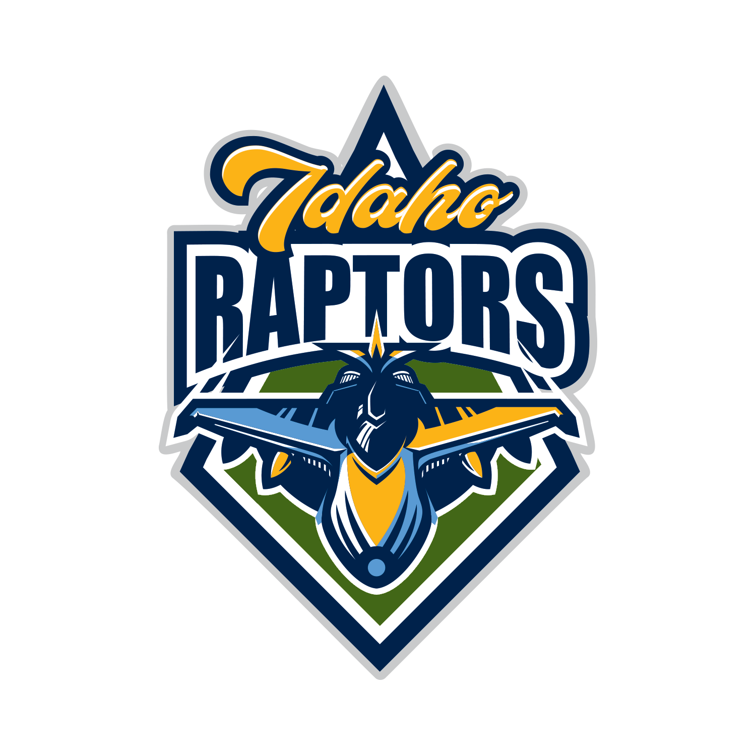 National Championship Sports | Baseball | Idaho Raptors | 15U D3