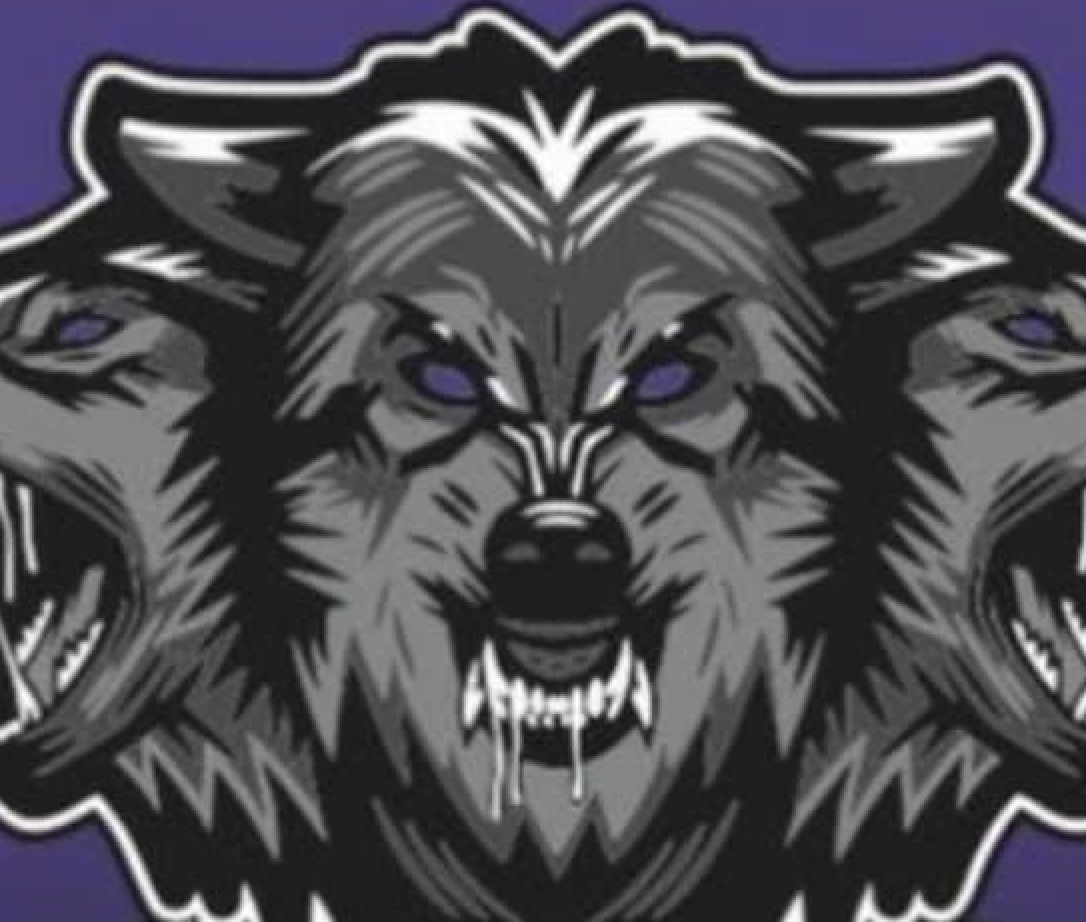 National Championship Sports | Baseball | WTX Wolf Pack | 9U D3