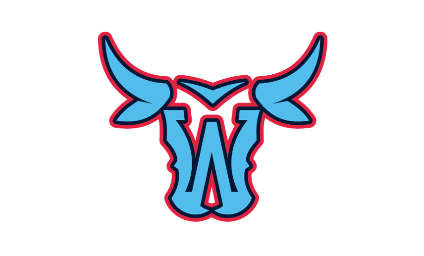 National Championship Sports | Baseball | Texas Wranglers | 7U D3 CP