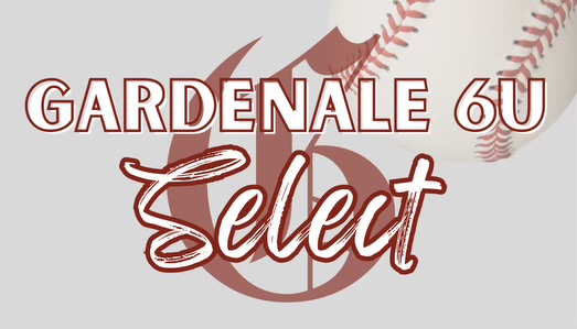 National Championship Sports | Baseball | Gardendale 6U Rockets Select ...