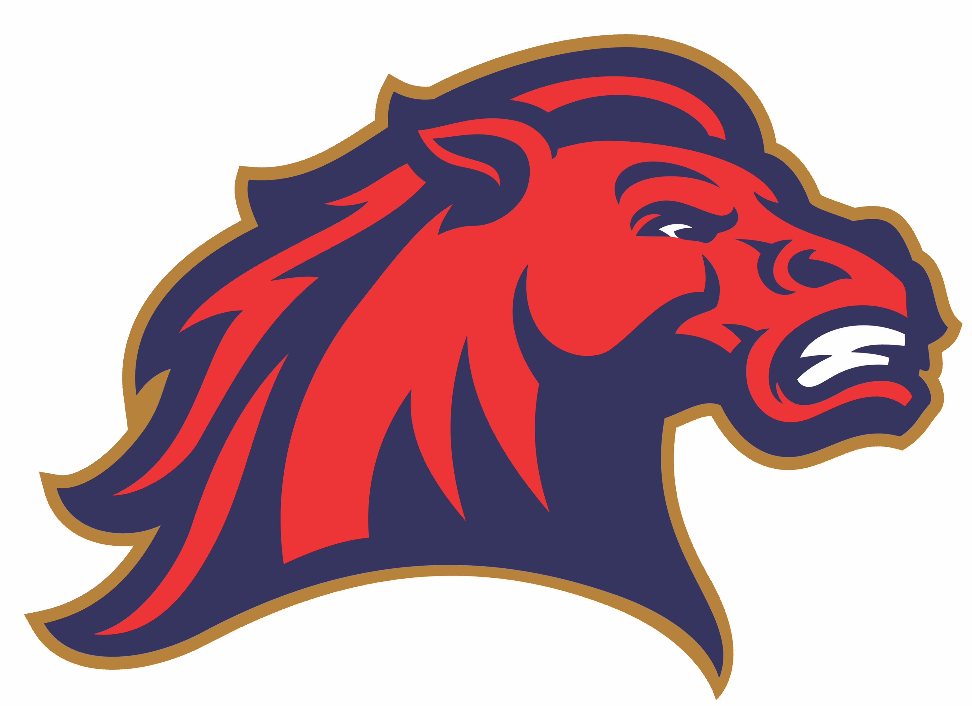 National Championship Sports | Baseball | Houston Mustangs 10U | 10U D3