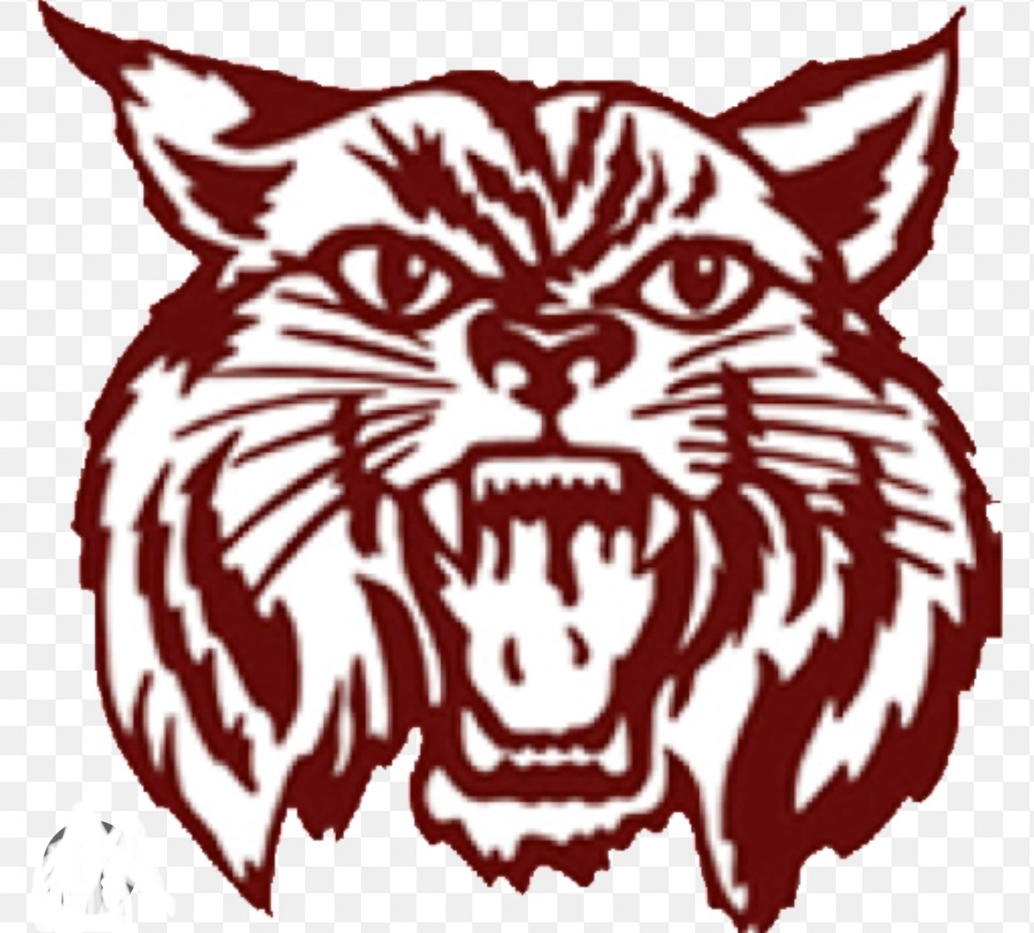 National Championship Sports | Baseball | Wildcats | 8U REC CP