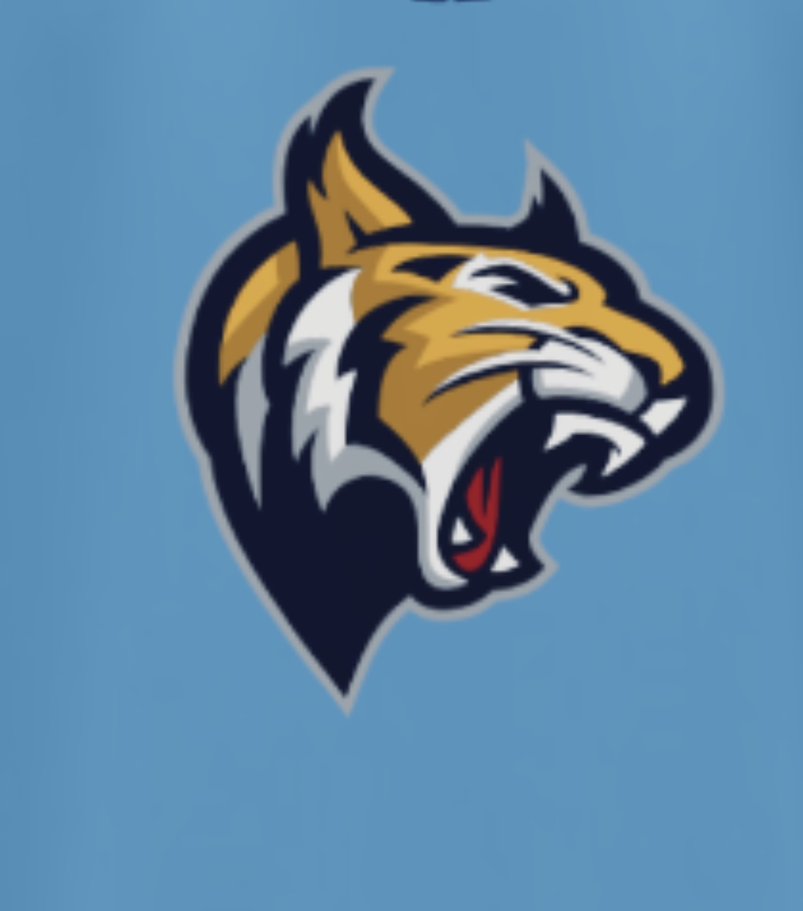 National Championship Sports | Baseball | Channel Cats | 7U D3 CP