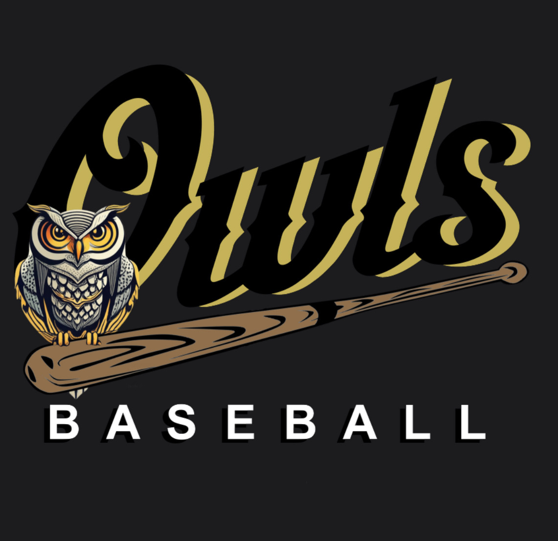National Championship Sports | Baseball | SGV Owls | 13U D2