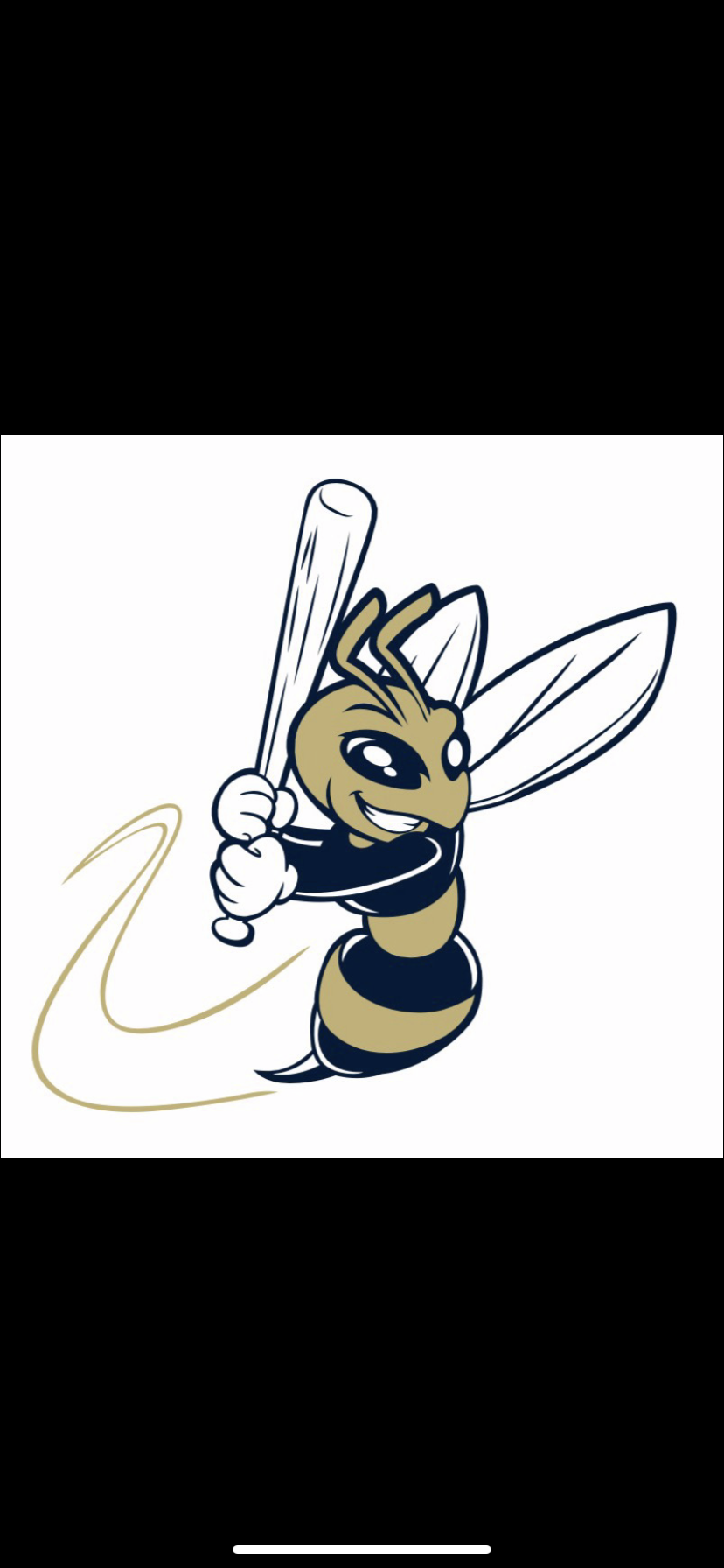 National Championship Sports | Baseball | Brownwood Sting | 11U D3