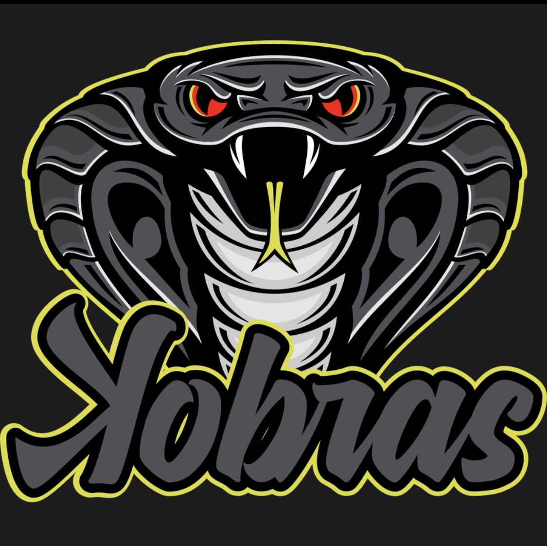 National Championship Sports | Baseball | Kobras | 14U D2