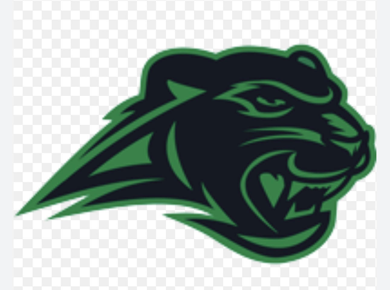 National Championship Sports | Baseball | Pelham Panthers 6U | 6U REC