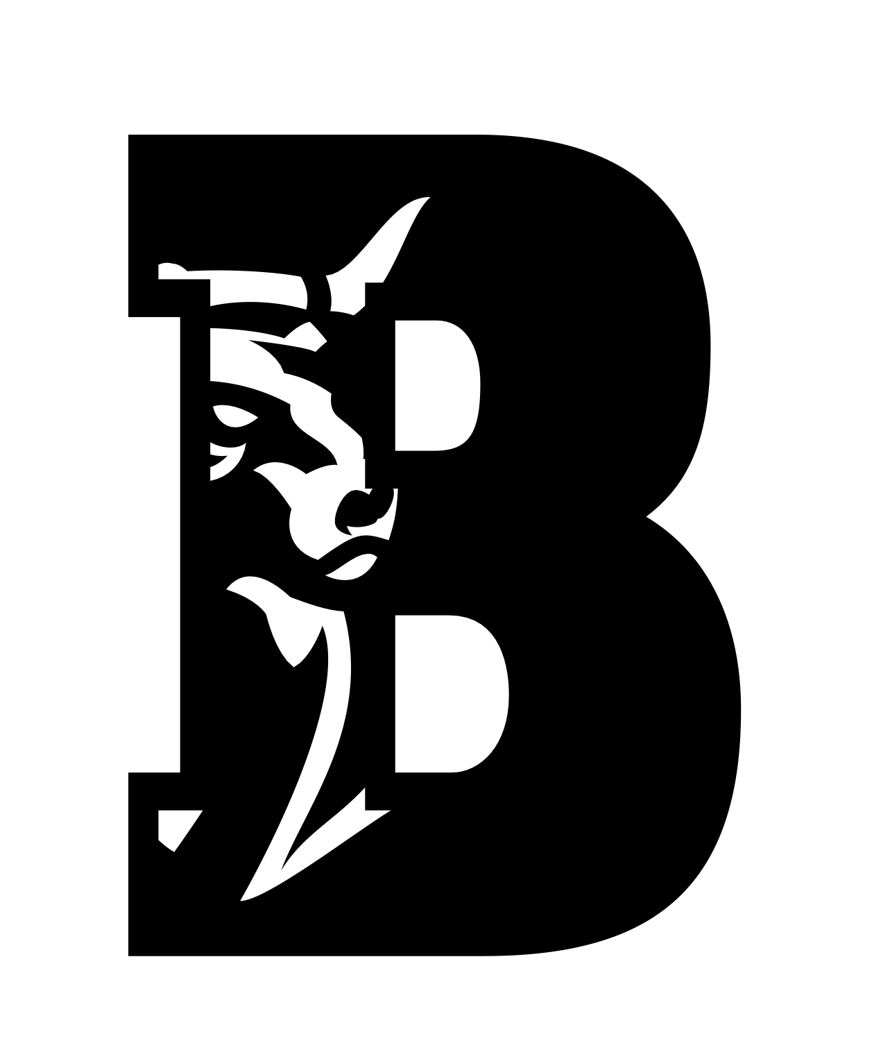 National Championship Sports | Baseball | Bridgeport Bulls | 10U REC