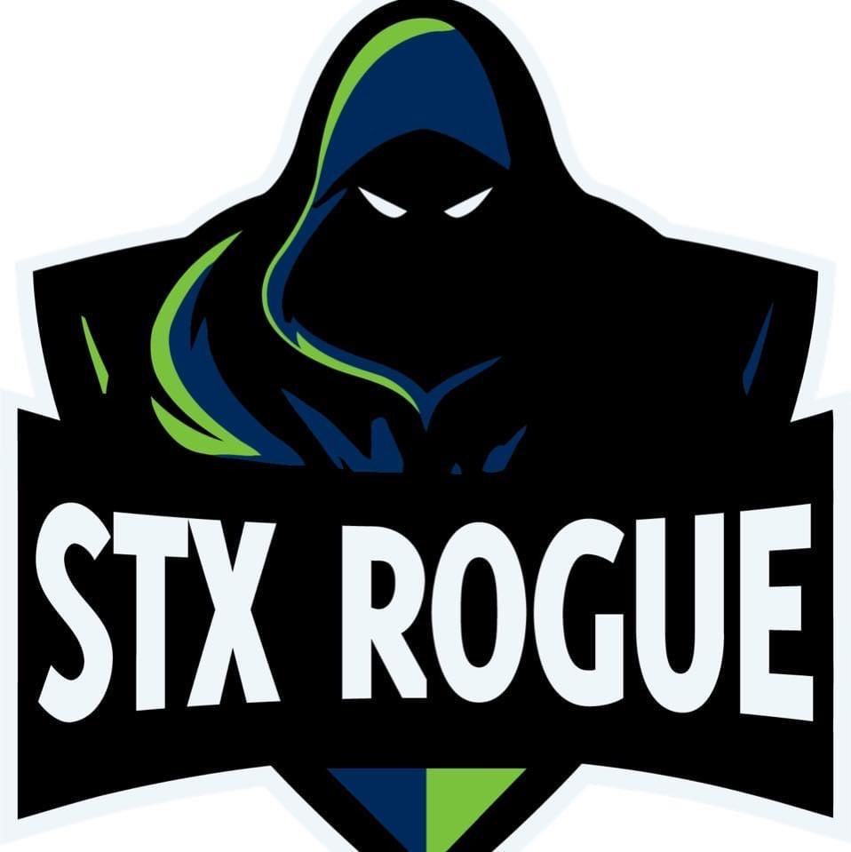 National Championship Sports | Baseball | STX ROGUE | 9U D3