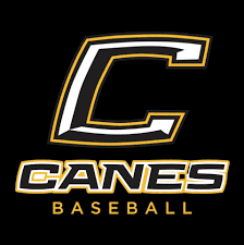 National Championship Sports | Baseball | Canes Houston 12u - Wyndell ...