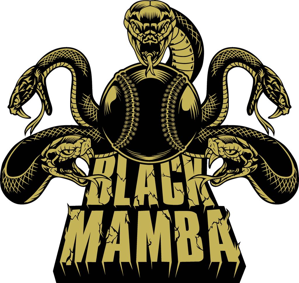 National Championship Sports | Baseball | Black Mamba | 10U D3