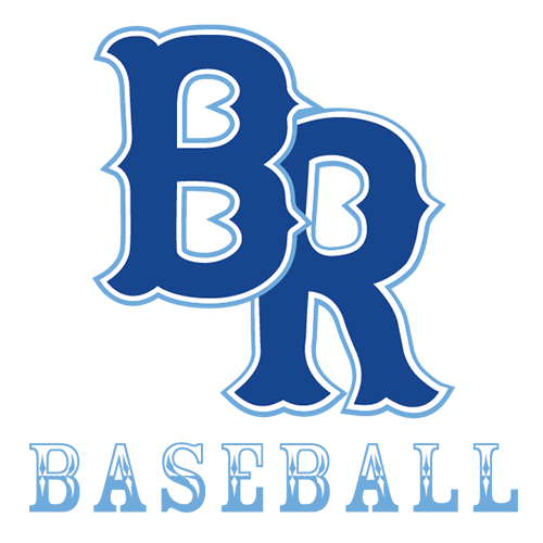 National Championship Sports | Baseball | Rios Hitmen | 11U D2