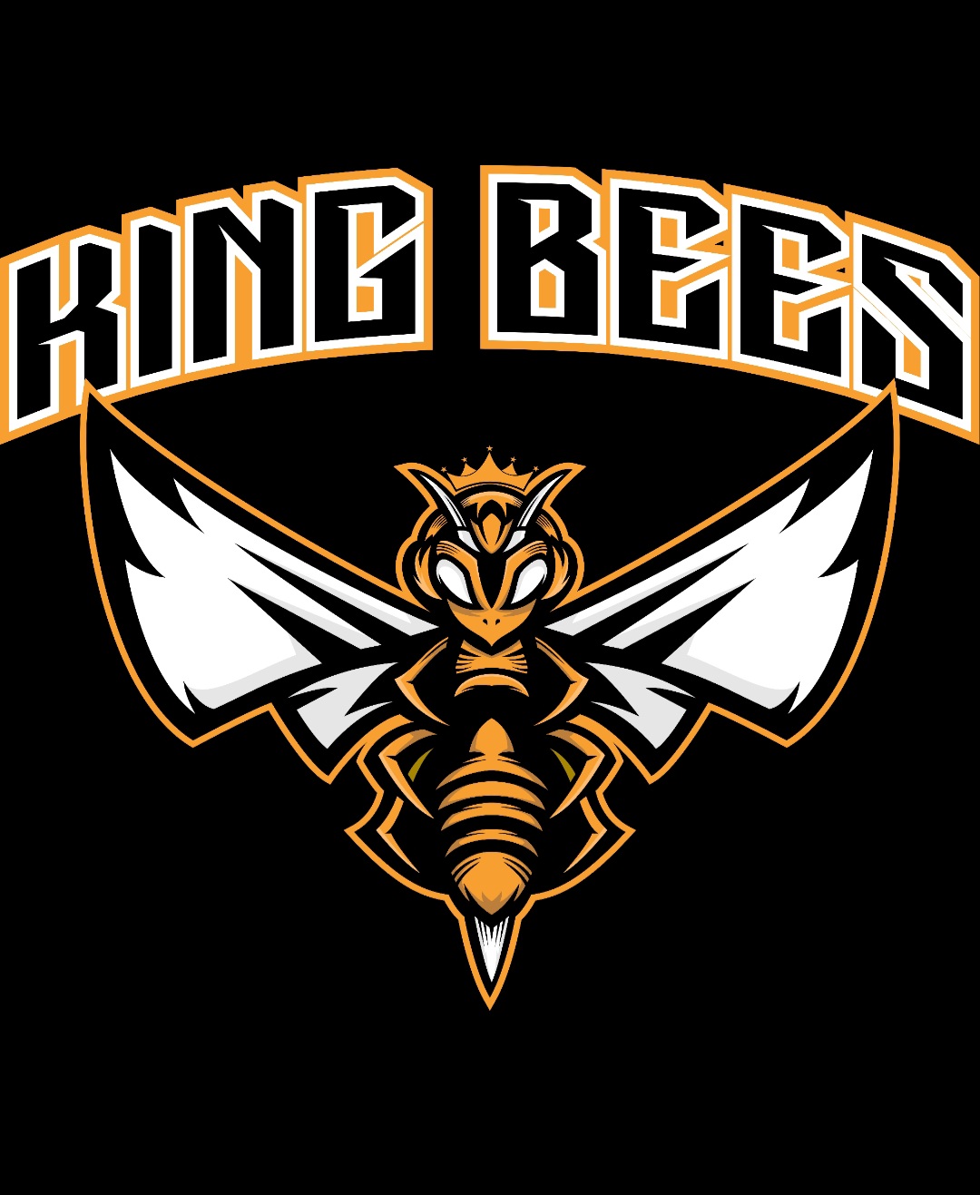 National Championship Sports | Baseball | King Bees | 14U D3