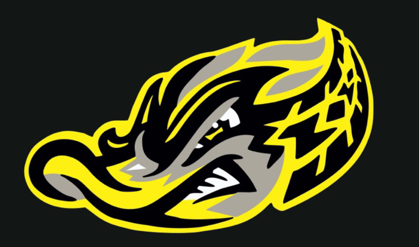 National Championship Sports | Baseball | Ducks | 12U D1