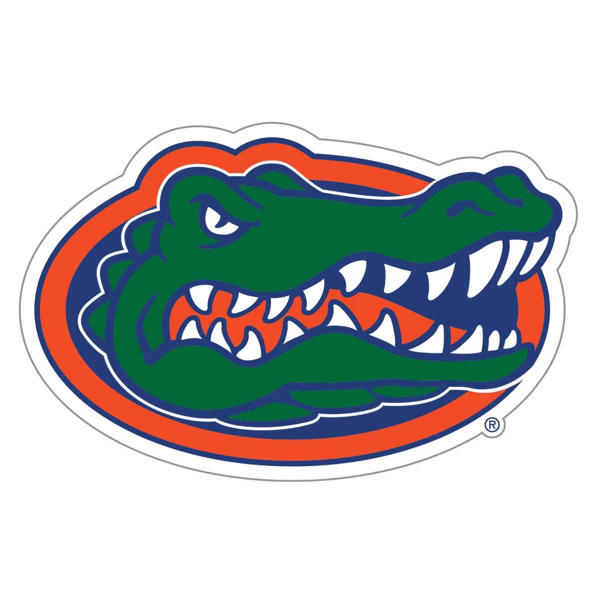 National Championship Sports | Baseball | STX Gators | 8U D3 CP