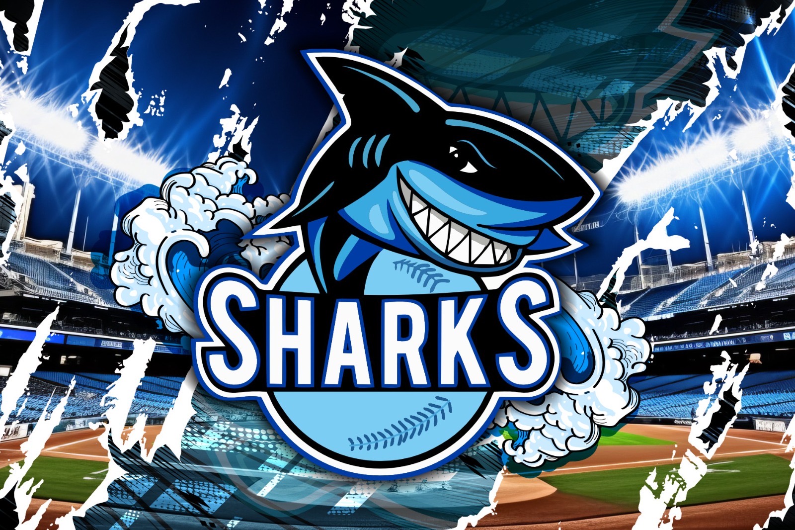 National Championship Sports | Baseball | Sharks | 12U REC
