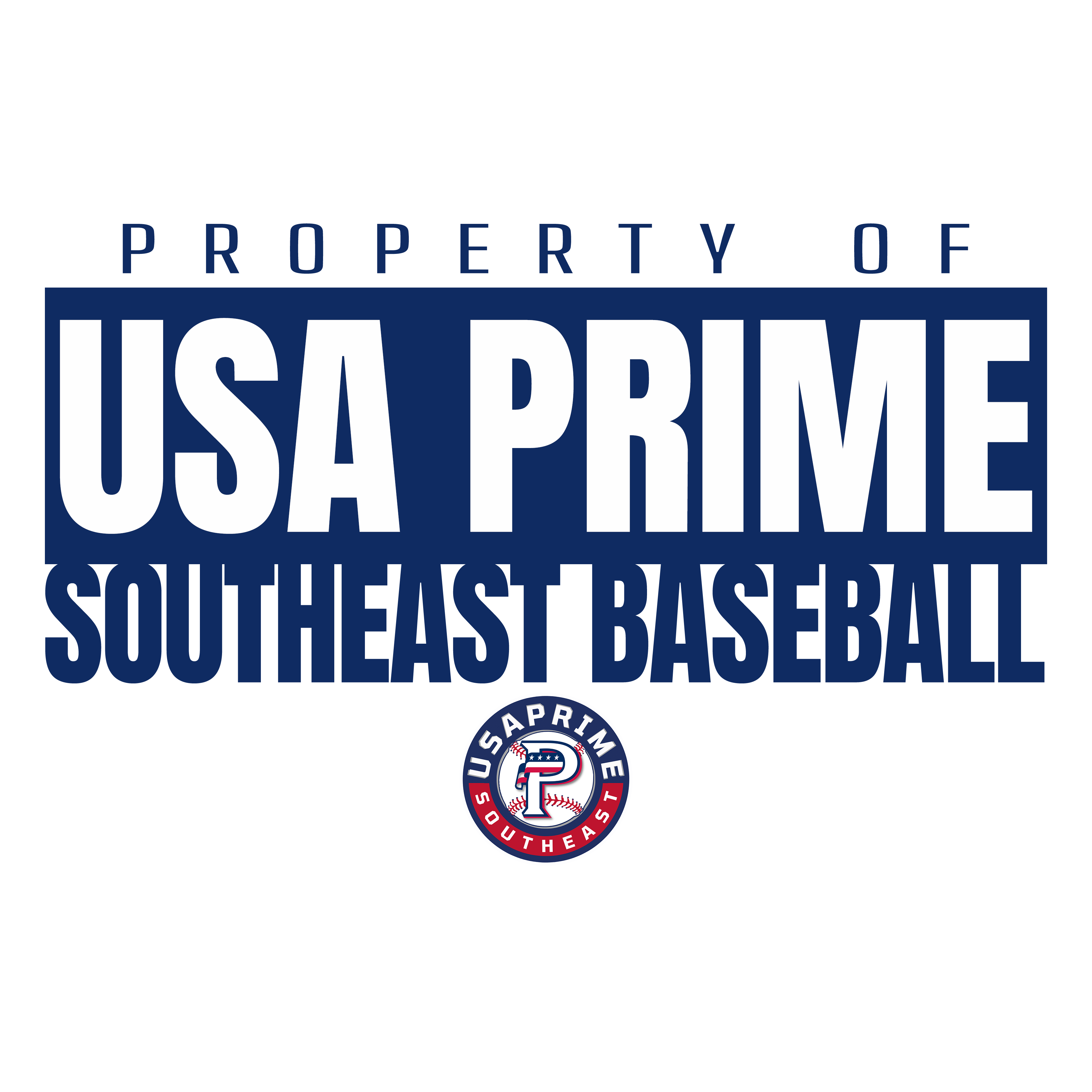 National Championship Sports | Baseball | USA Prime SE 8U | 8U D3 CP