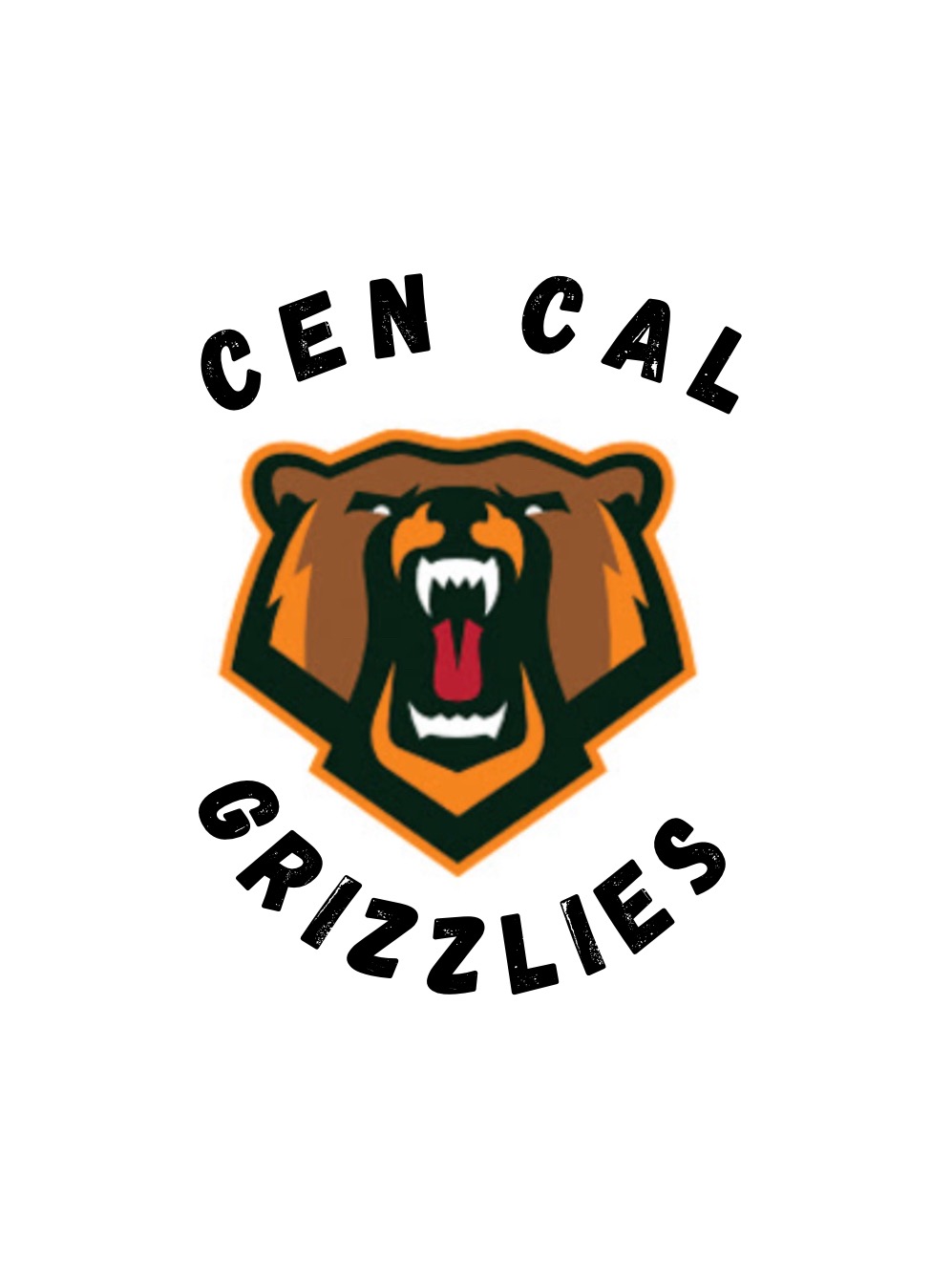 National Championship Sports | Baseball | Cen Cal Grizzlies | 16U D2