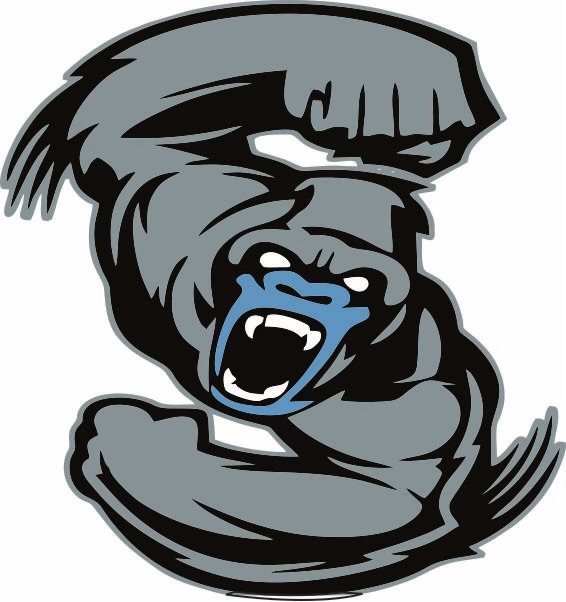 National Championship Sports | Baseball | N Ga Silverbacks | 13U D3