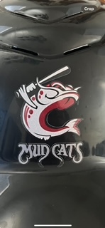 National Championship Sports | Baseball | Mudcats | 10U D2